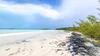 Discover the Unspoiled Beauty of the Top Exuma Beaches — Traveling Tessie