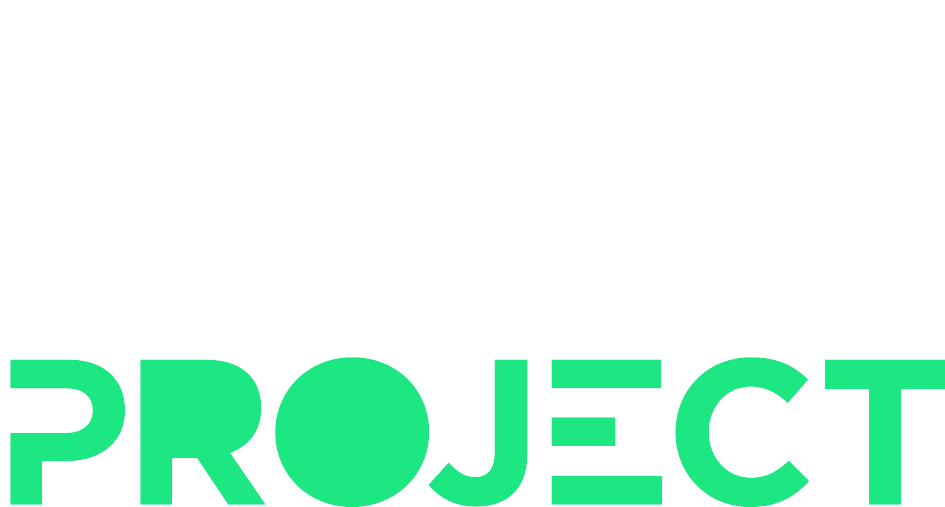 The Dynamo Project