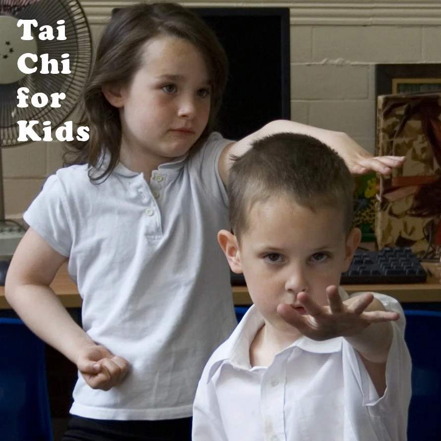 TaiChiTigers. TaiChi.Qigong.TaiChi for Kids.Stress reduction.Mental ...