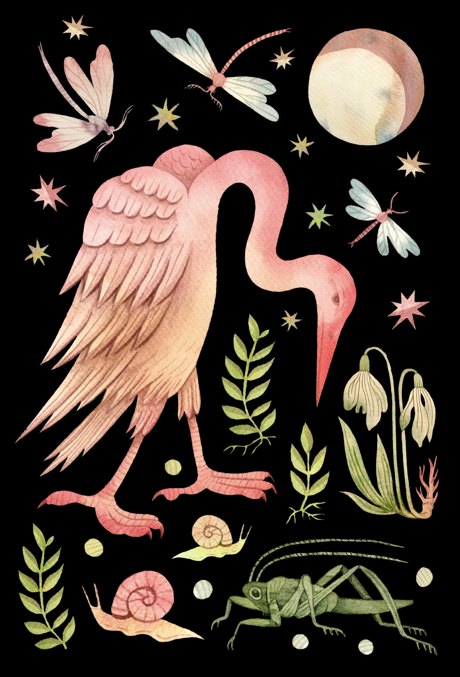 Emma Ekstam illustrations — Emma Ekstam