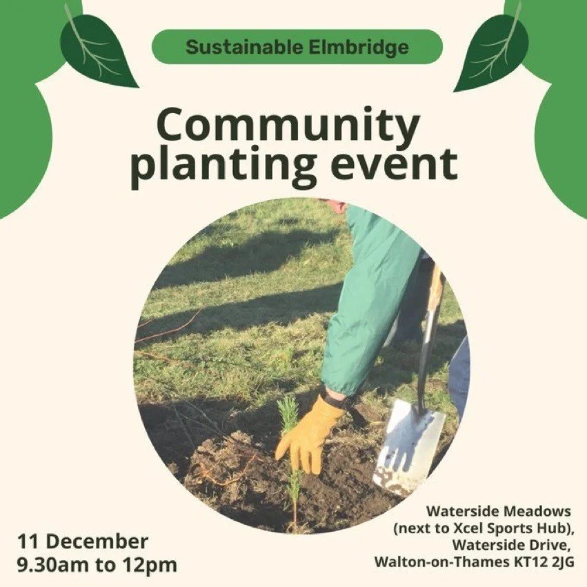 Events — Green Elmbridge