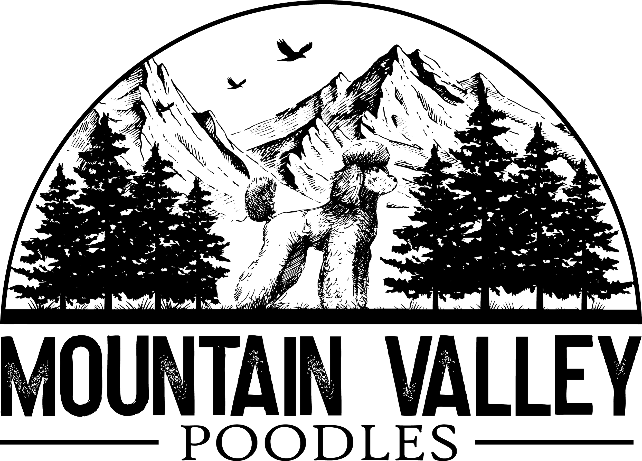 Mountain Valley Logo