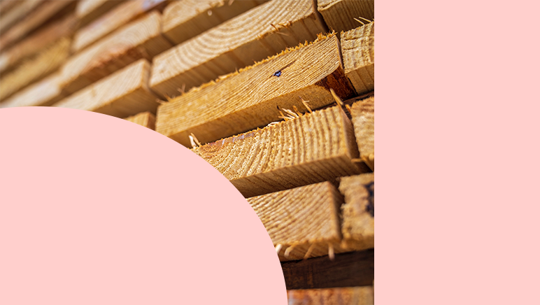 Projects - Building From England's Woodland — Transforming Timber