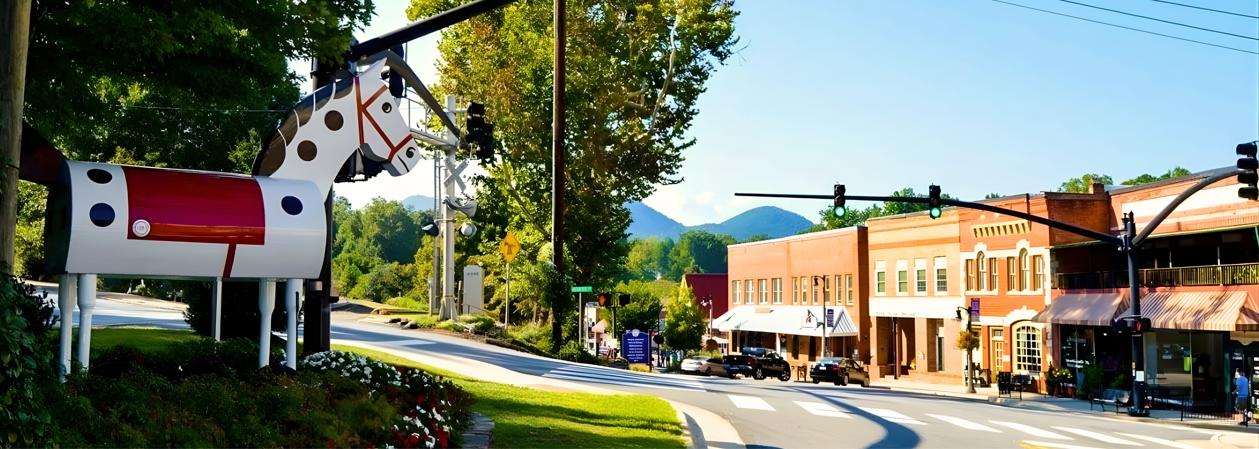 Tryon Downtown Development Association