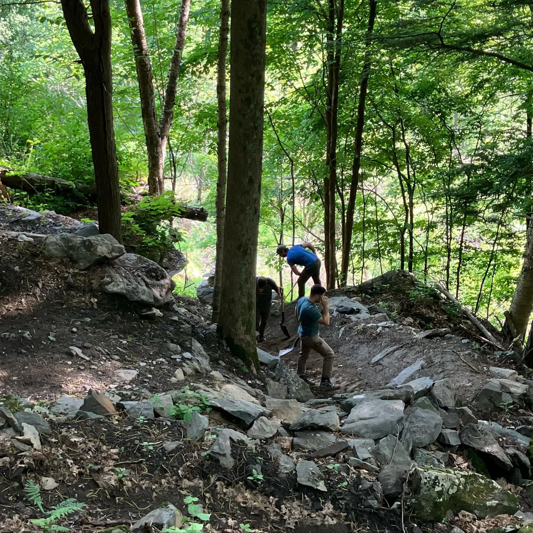 Richmond Mountain Trails | Sustainably-Built, Multi-Use Trails in Richmond, VT