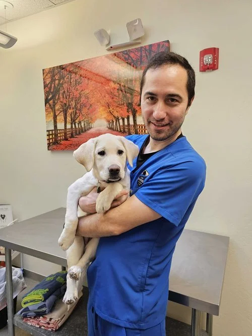 Meet the Team — Roadrunner Veterinary Emergency & Specialty Hospital