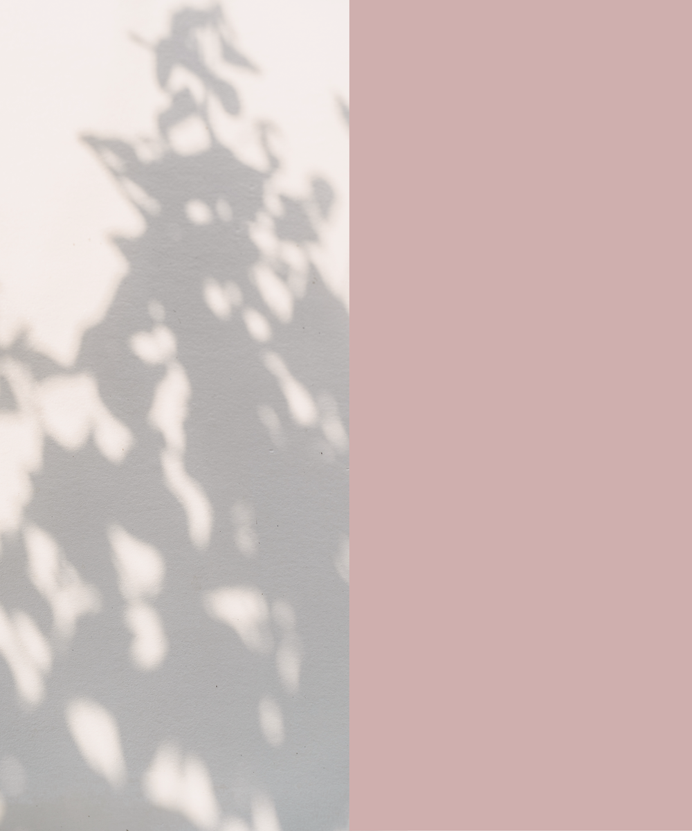 Meet Dr. Courtney Ranieri Naturopathic Doctor — BlossomCo Wellness Dr ...