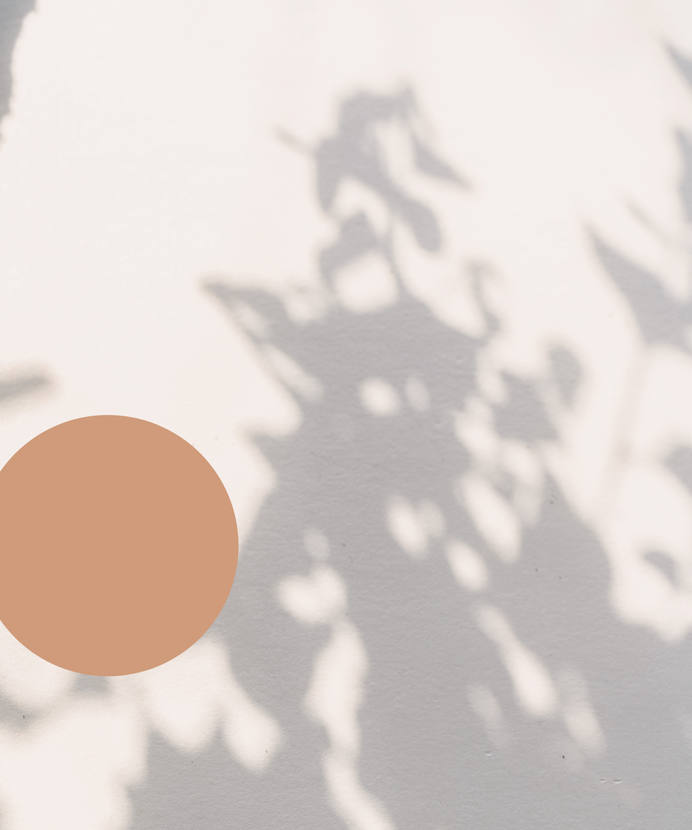 BlossomCo Wellness - Dr. Courtney Ranieri, ND Toronto Virtual Hormone ...