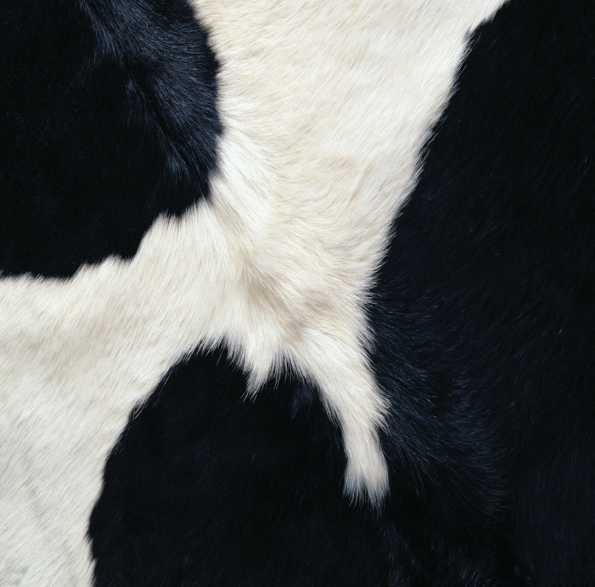 Mepron — RP Nutrients