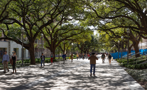 The University of Texas at Austin, Speedway Corridor and The East Mall ...
