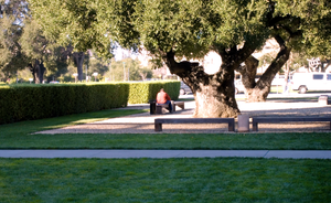 Stanford University Center for Clinical Science Research — PWP