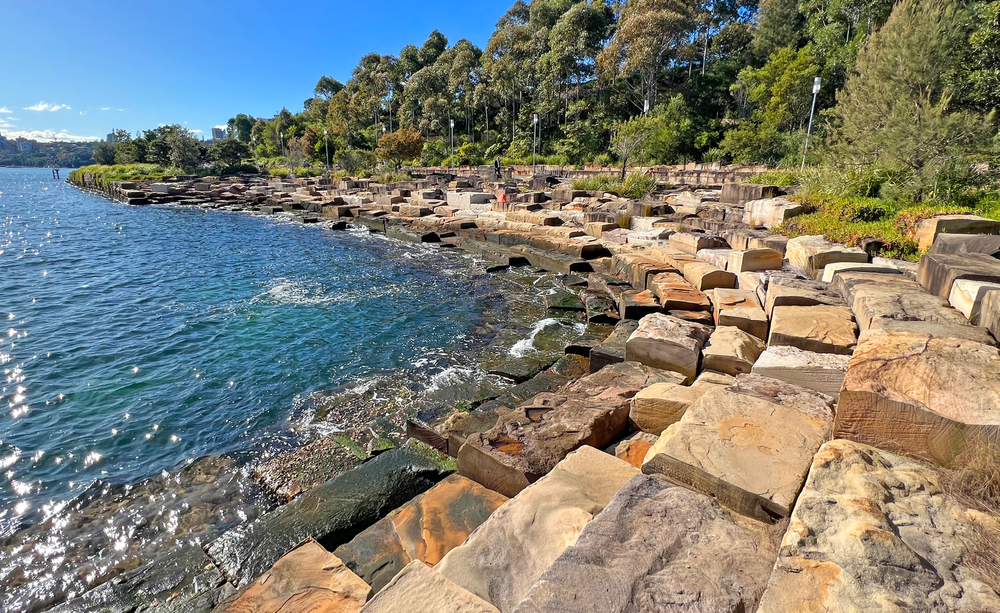 Barangaroo Reserve — PWP
