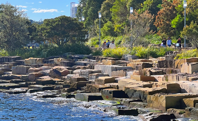 Barangaroo Reserve — PWP