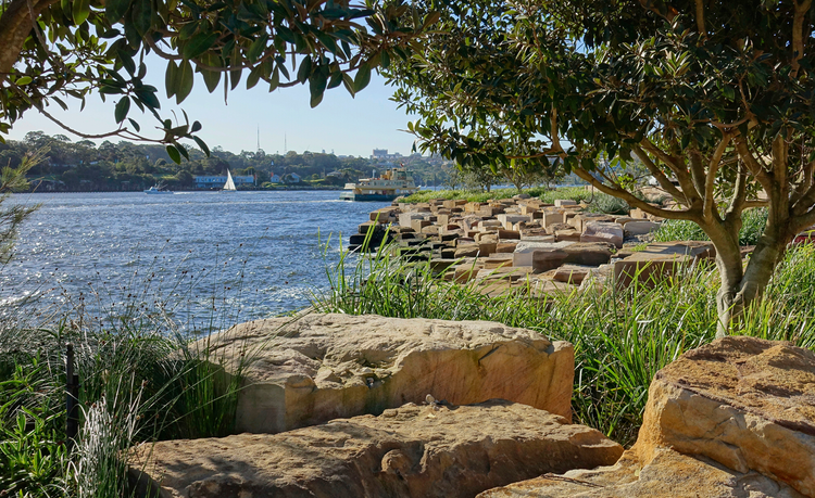 Barangaroo Central Competition — PWP