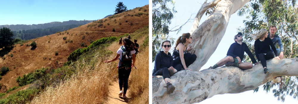 Internship Program — PWP