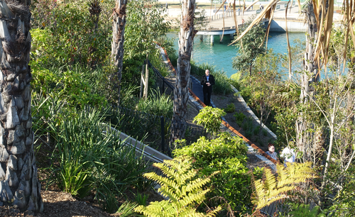 Barangaroo Reserve — PWP
