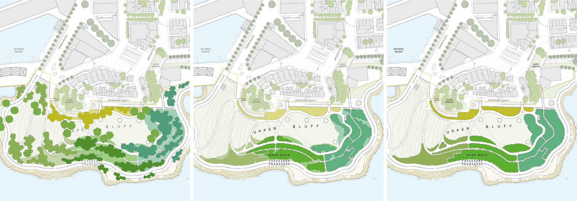 Barangaroo Reserve — PWP