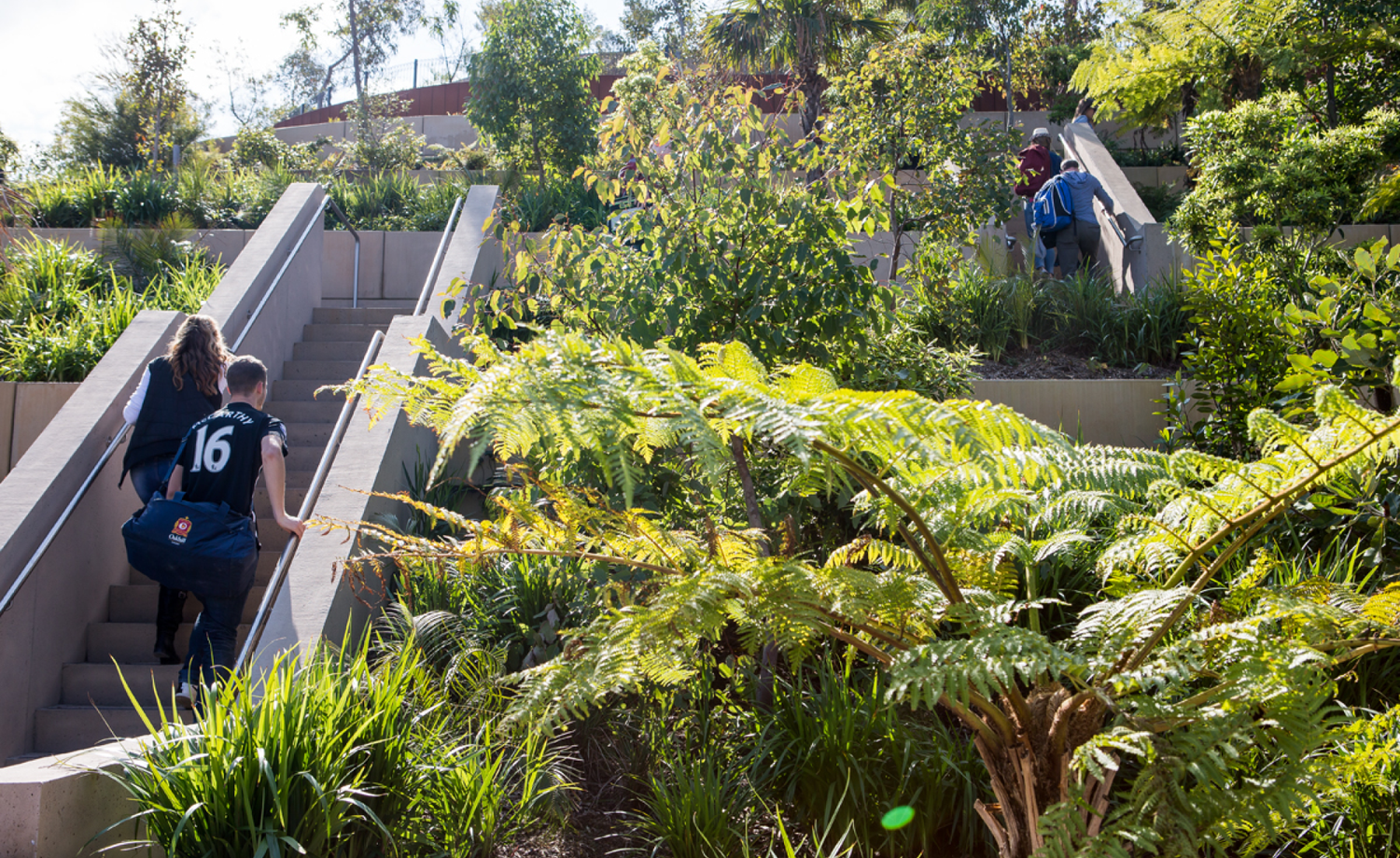 Barangaroo Reserve — PWP