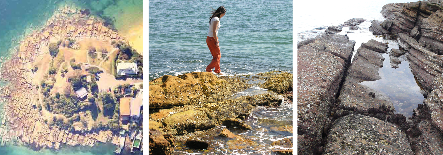 Barangaroo Reserve — PWP