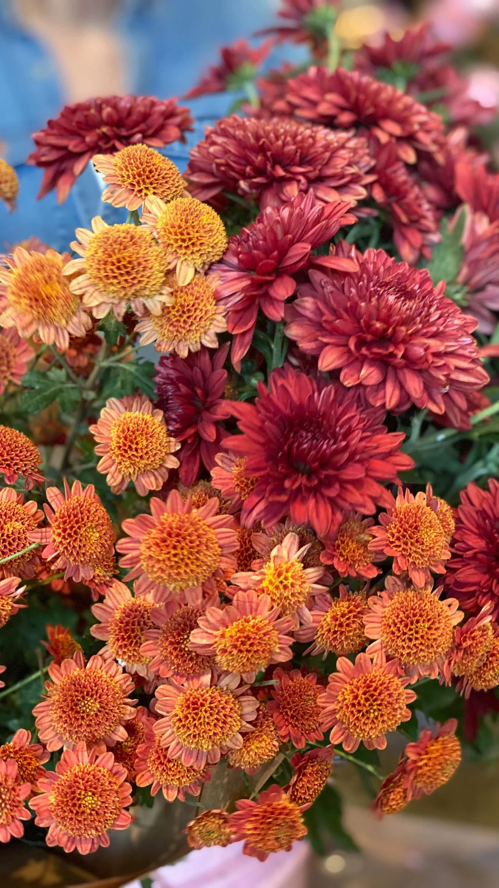 Missouri Flower Exchange