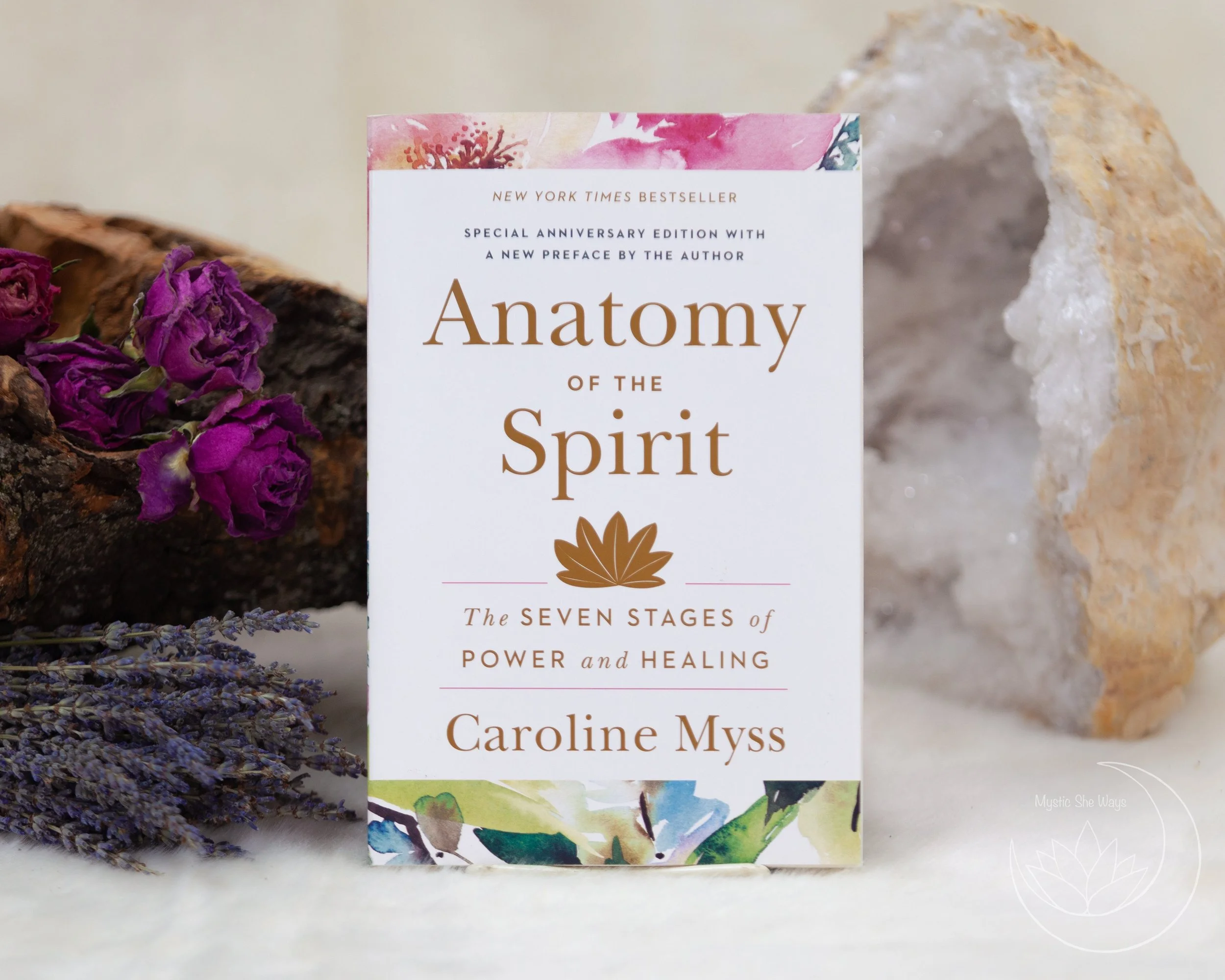 Nature and The Human Soul by Bill Plotkin — Mystic She Ways