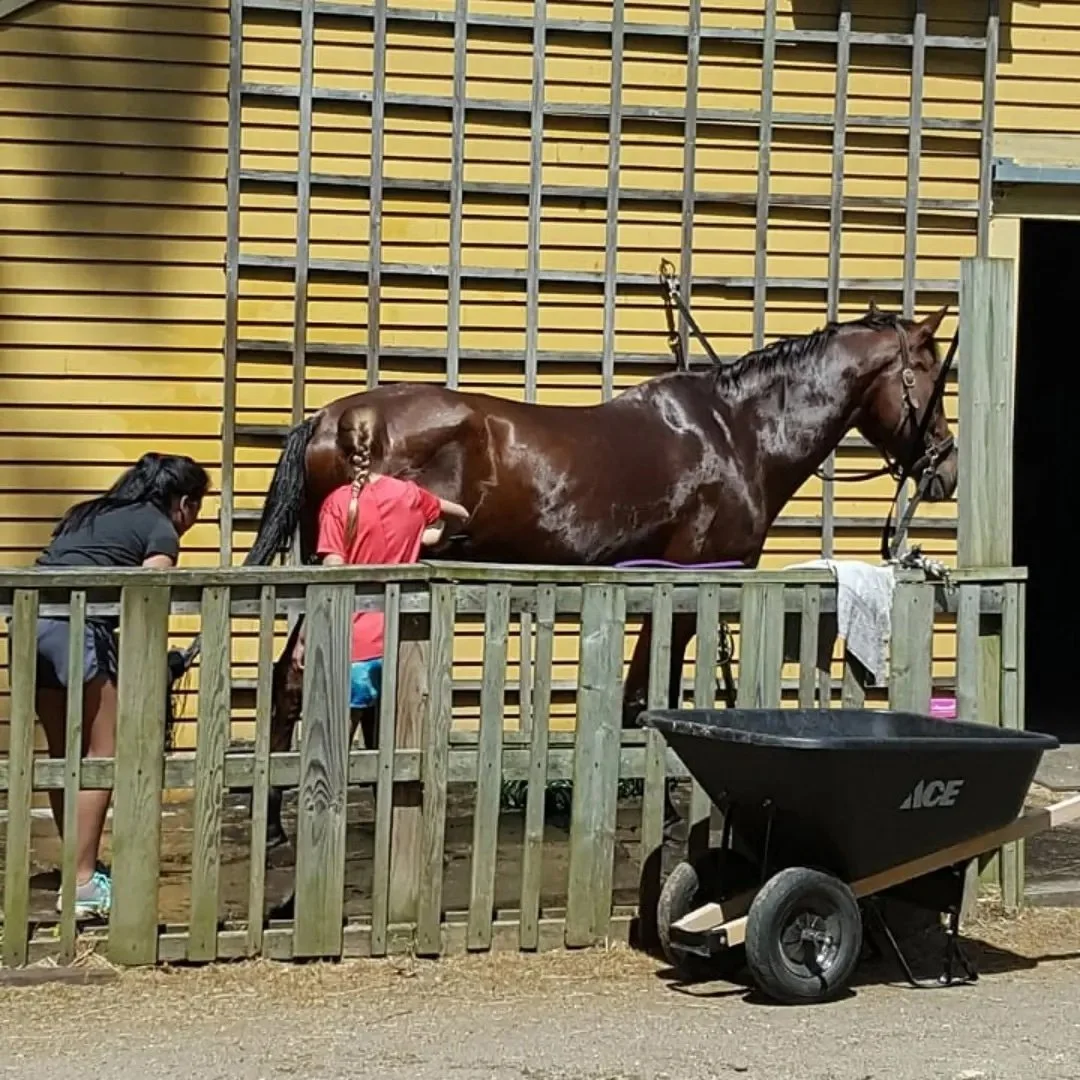 Lessons/Board — Sage Farm