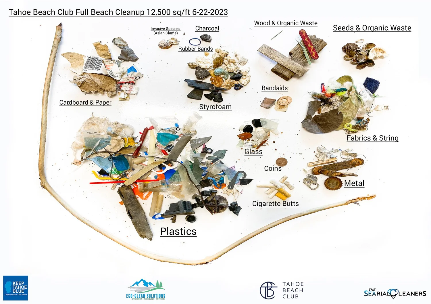 The BEBOT is Back | Tahoe Beach Club