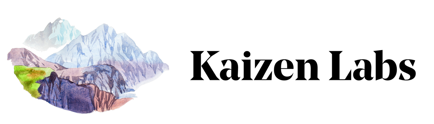 Contact — Kaizen Labs