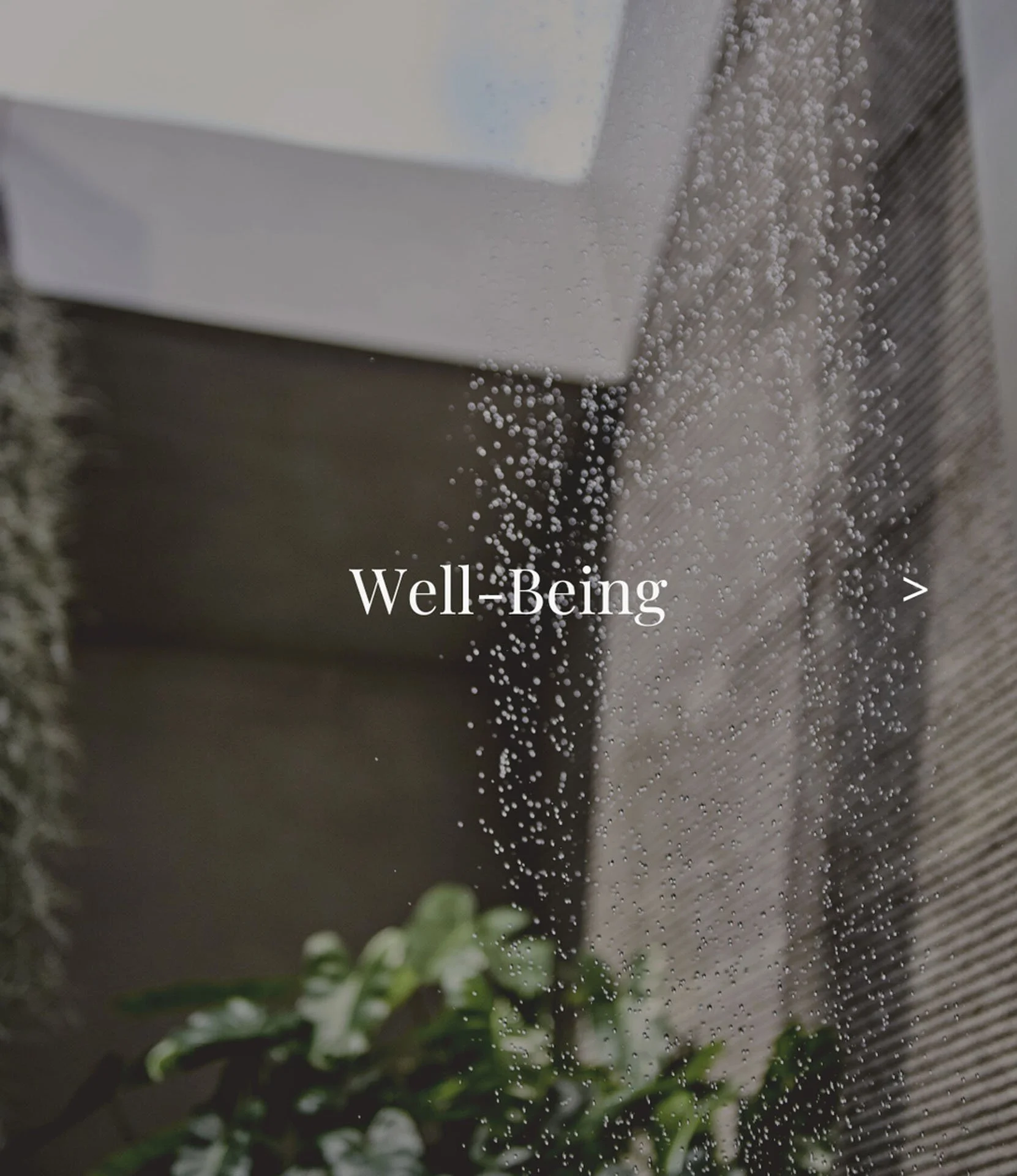 The EightyTwo Experience — EightyTwo