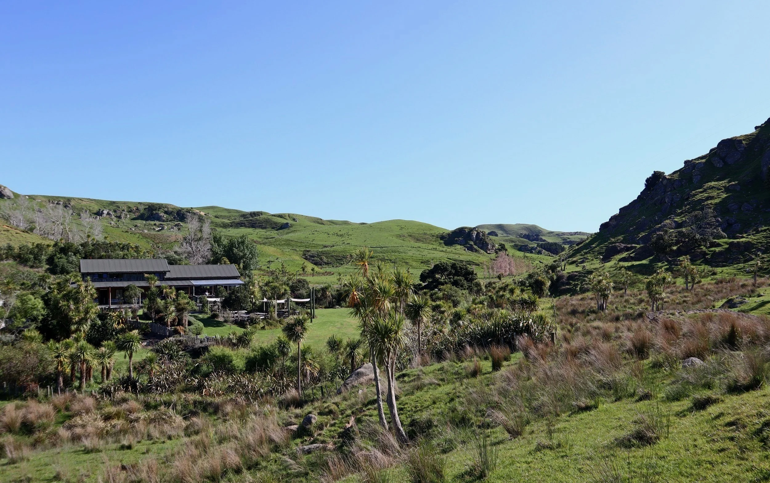 Nikau Cave & Cafe