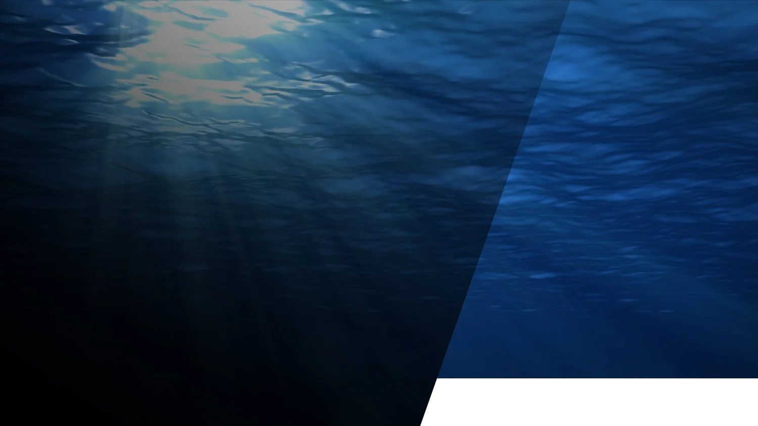 Blog — Blue Ocean Marine Tech Systems