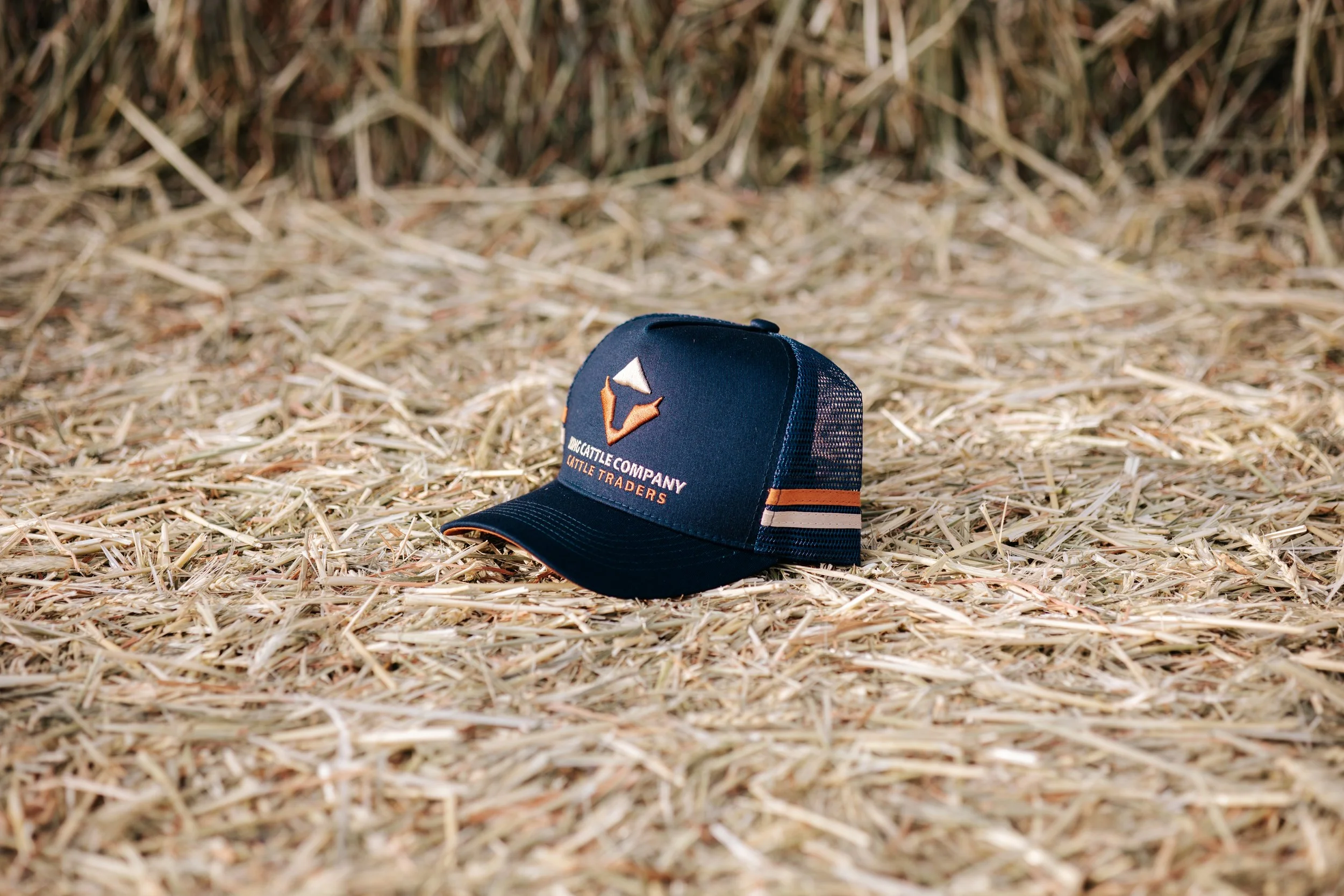 Merch — King Cattle Company