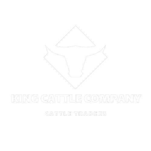 King Cattle Company