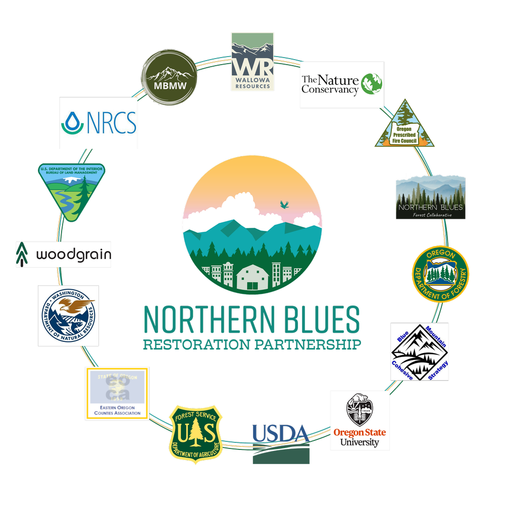 The Partnership — Northern Blues Restoration Partnership