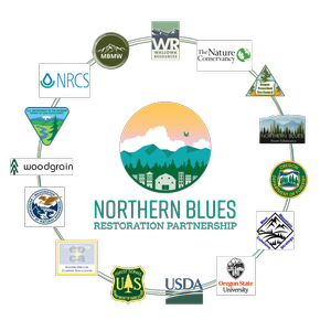 The Partnership — Northern Blues Restoration Partnership