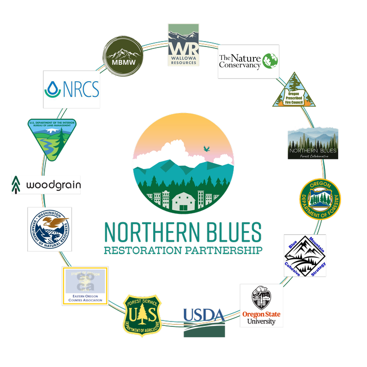 The Partnership — Northern Blues Restoration Partnership