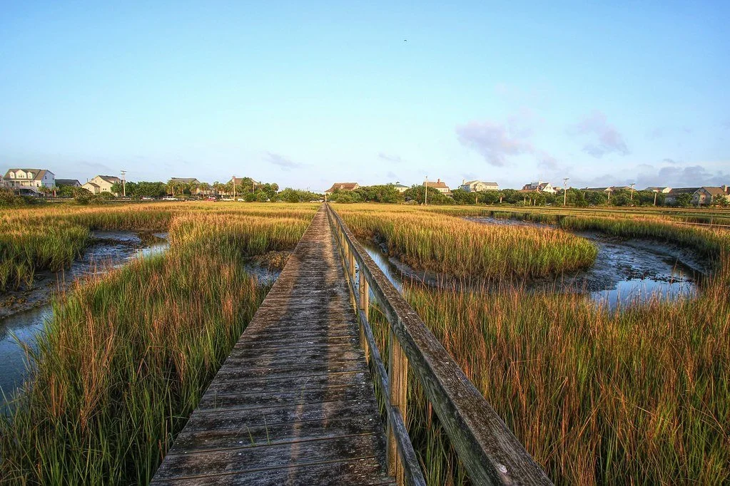 Highway 17 in South Carolina Road Trip Itinerary: Myrtle Beach to ...