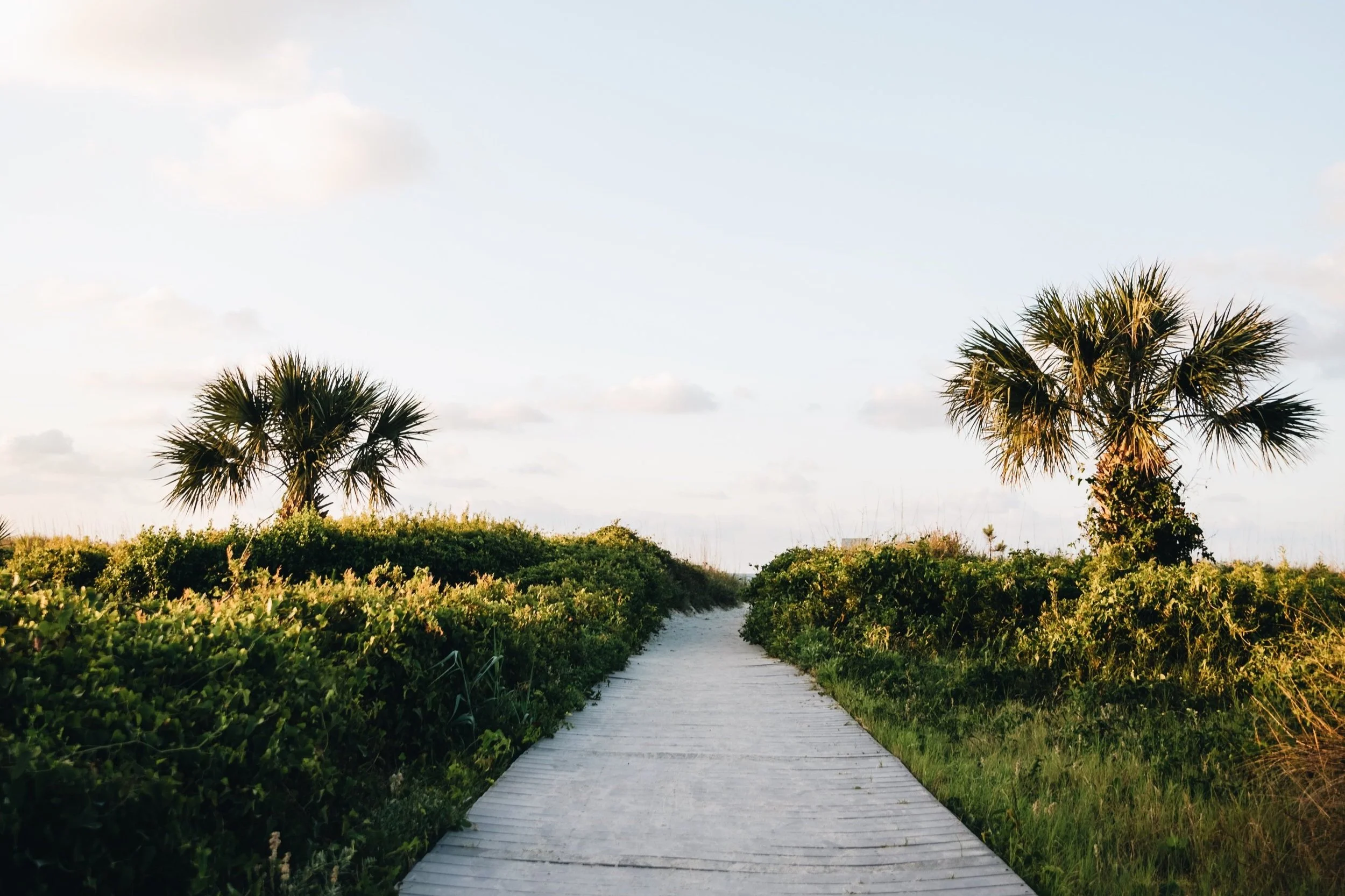 Highway 17 in South Carolina Road Trip Itinerary: Myrtle Beach to ...