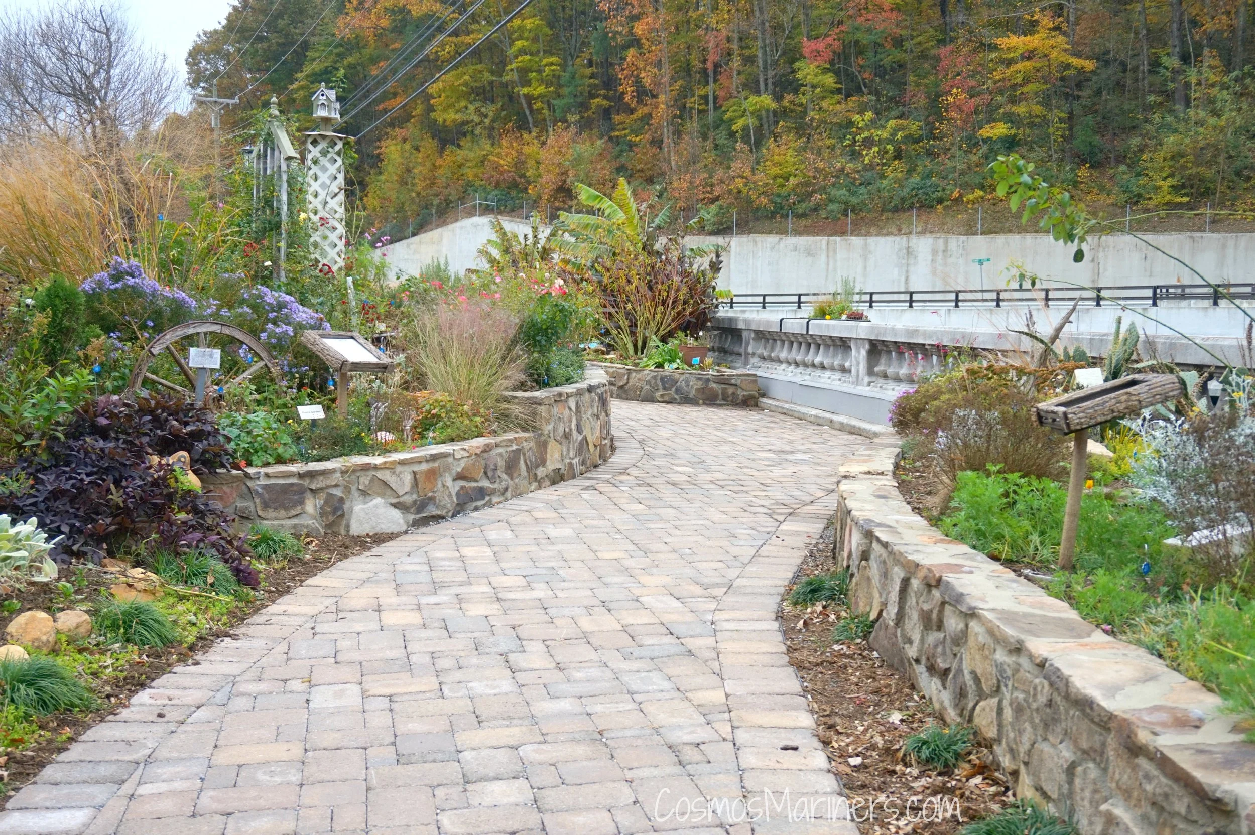 The Lake Lure Flowering Bridge: One of the Best Things to Do in the ...
