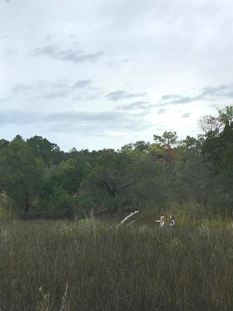 Why You Should Visit Awendaw South Carolina