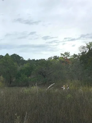 Why You Should Visit Awendaw South Carolina