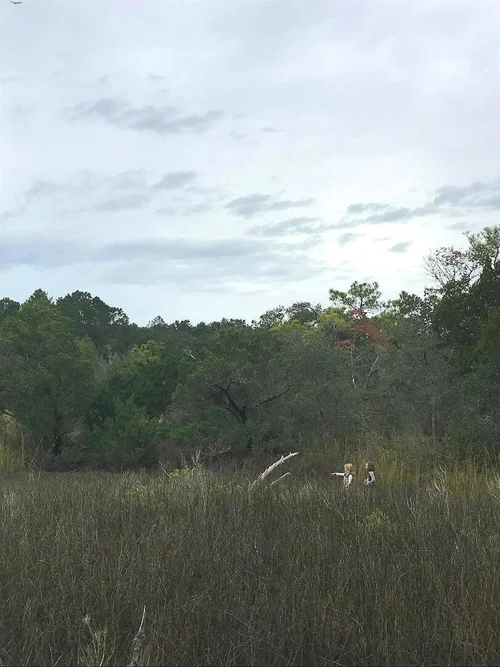 Why You Should Visit Awendaw South Carolina