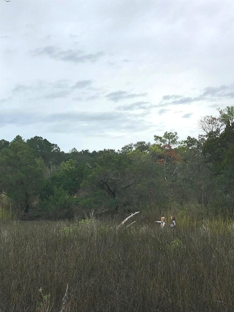 Why You Should Visit Awendaw South Carolina