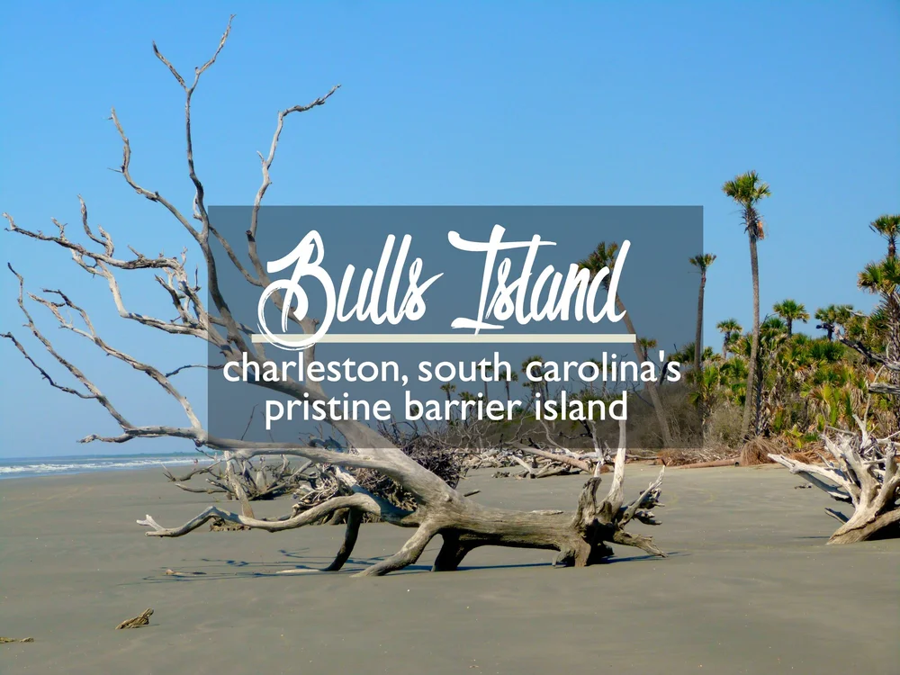Bulls Island, South Carolina: Charleston's Pristine Barrier Island