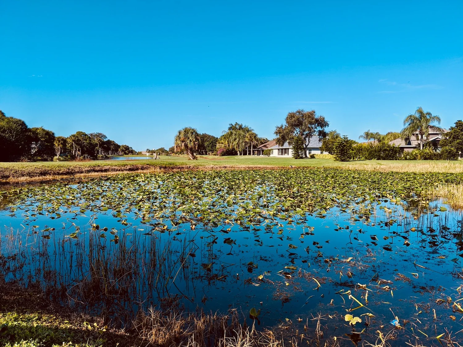 The Best Things to Do in Melbourne, Florida and the Space Coast