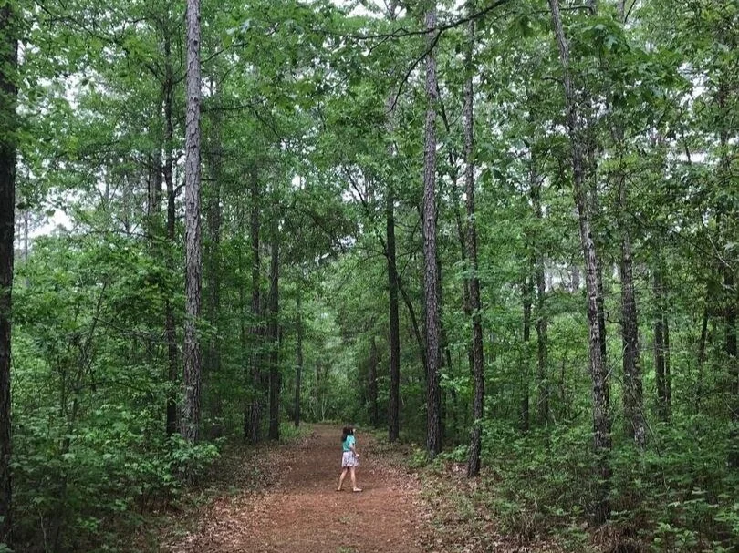 Why You Should Visit Awendaw South Carolina
