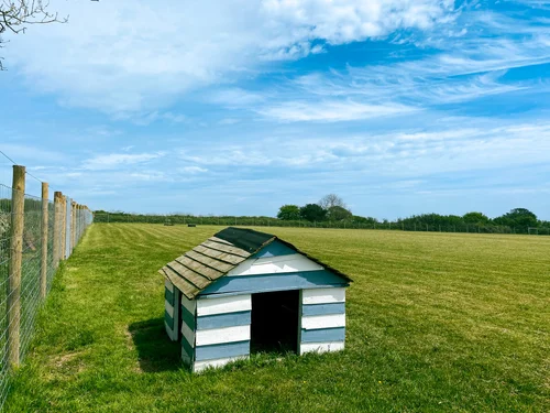 Pig & Pooch Dog Paddock Cornwall — Pig & Pooch Paddock