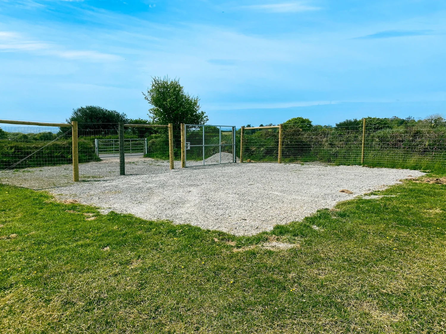 Pig & Pooch Dog Paddock Cornwall — Pig & Pooch Paddock