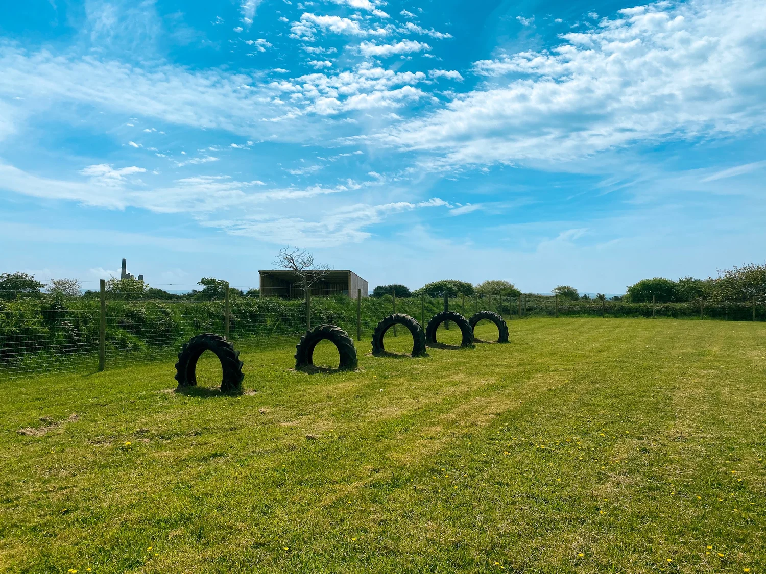 Pig & Pooch Dog Paddock Cornwall — Pig & Pooch Paddock