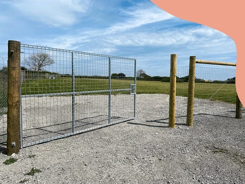 Pig & Pooch Dog Paddock Cornwall — Pig & Pooch Paddock